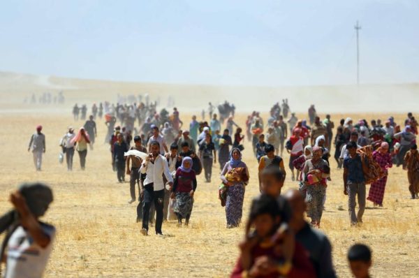 How to Prove Your Claim of Persecution in an Asylum Application