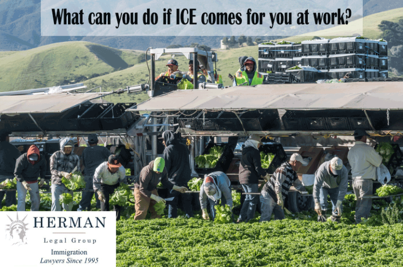 What can you do if ICE comes for you at work? | Herman Legal Group