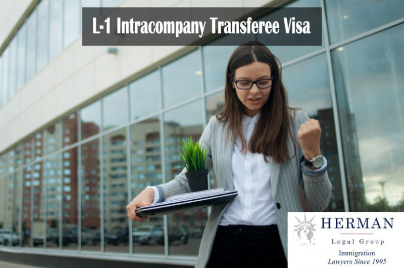 L-1 Intracompany Transferee Visa | Herman Legal Group